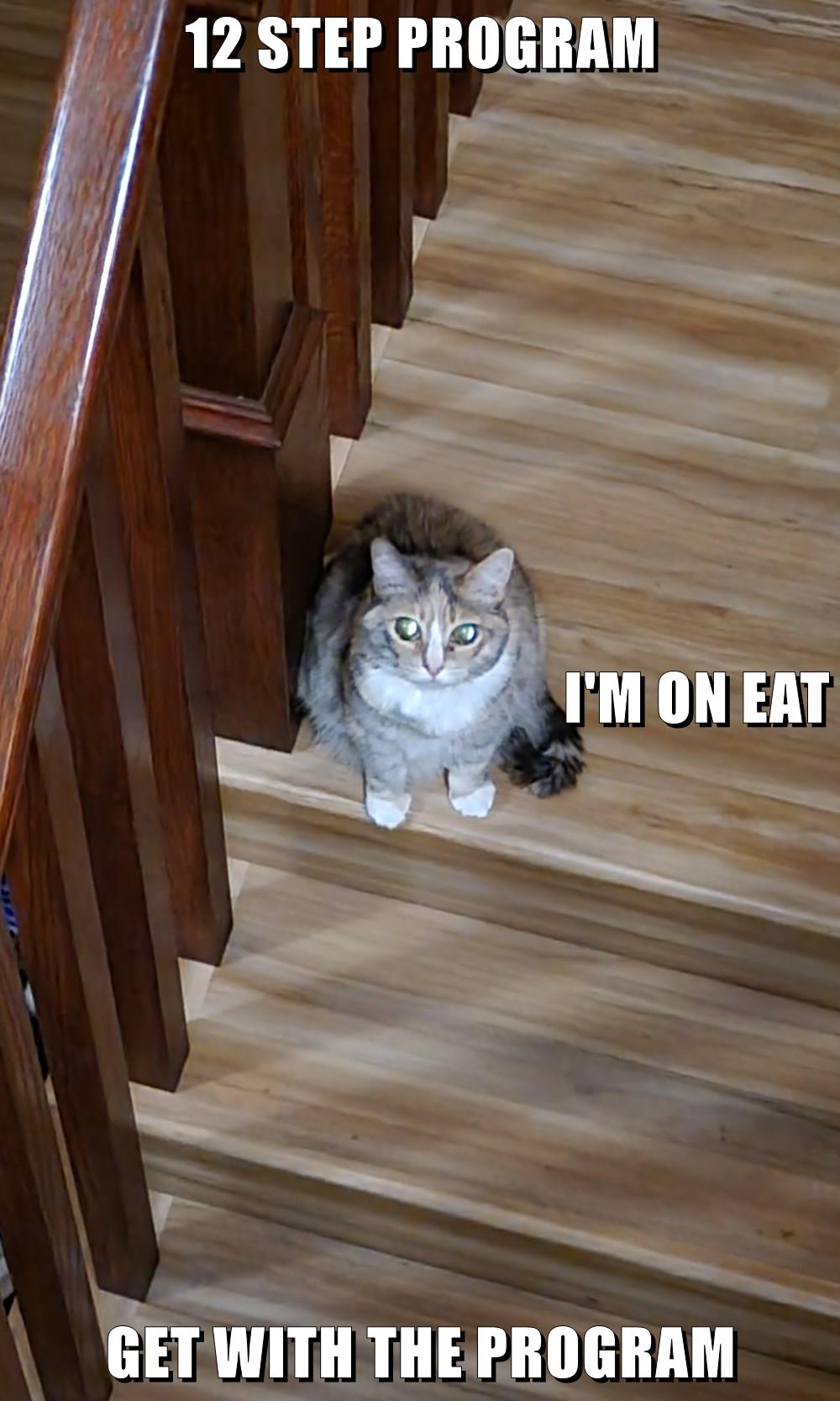 On Eat - Lolcats - lol | cat memes | funny cats | funny cat pictures ...
