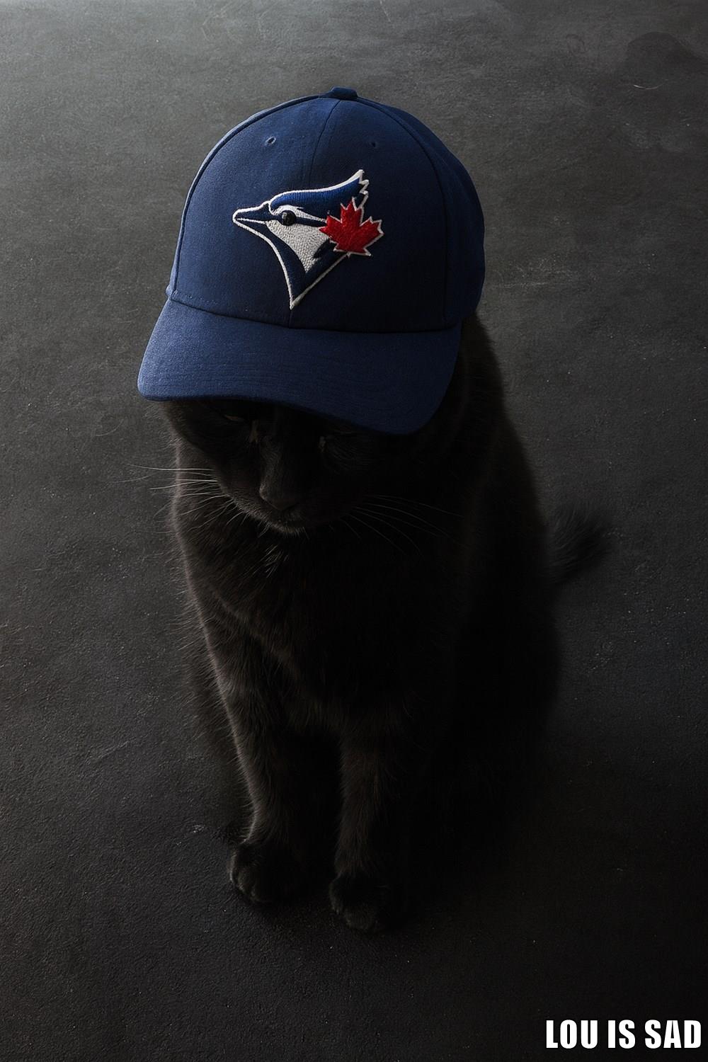 Lou is Sad - Lolcats - lol | cat memes | funny cats | funny cat ...