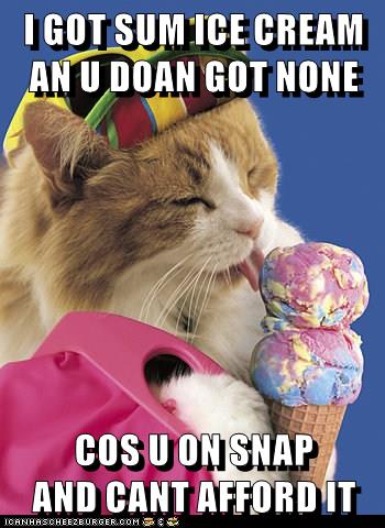 mlem - Lolcats - lol | cat memes | funny cats | funny cat pictures with ...