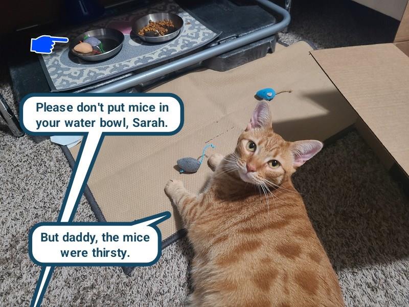 Cat-parent is now mouse grand-parent - Lolcats - lol | cat memes ...
