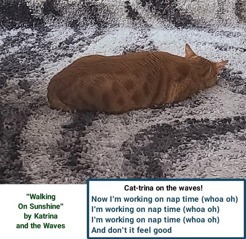 "Walking On Sunshine" by Katrina and the Waves - Lolcats - lol | cat ...
