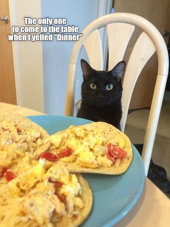 "Call me anything you want, but don't call me late for dinner ...