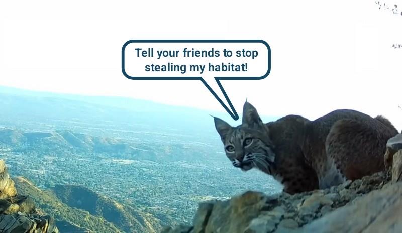 We'd like to keep our distance too, believe me - Lolcats - lol | cat ...