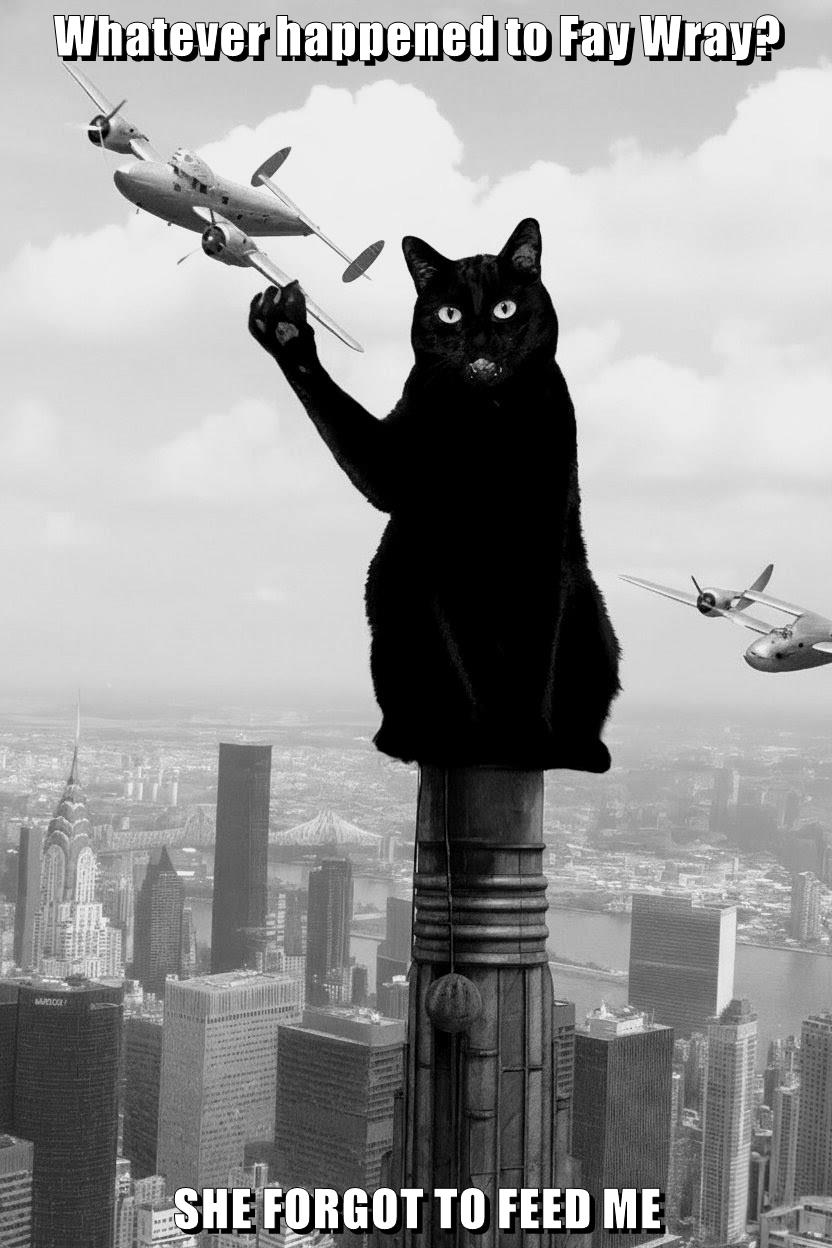 Whatever happened to Fay Wray? SHE FORGOT TO FEED ME - Lolcats - lol ...