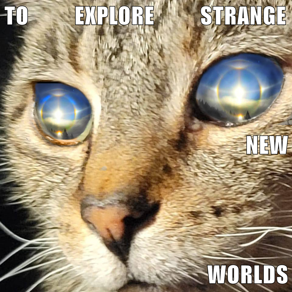 He sees the pspsecrets of the universe - Lolcats - lol | cat memes ...