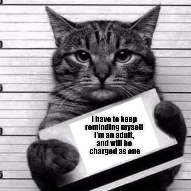 Good reminder - Lolcats - lol | cat memes | funny cats | funny cat ...