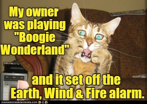 ooh dance, ooh dance - Lolcats - lol | cat memes | funny cats | funny ...