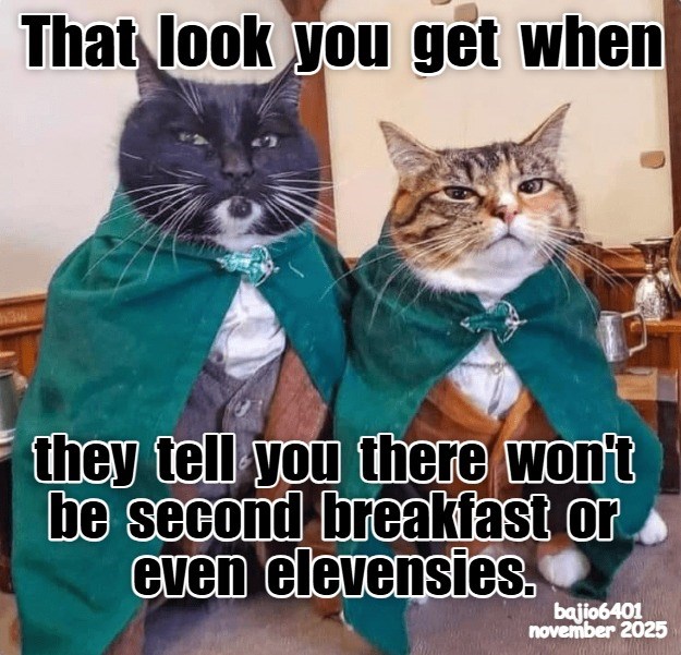Pawbbits - Lolcats - lol | cat memes | funny cats | funny cat pictures ...