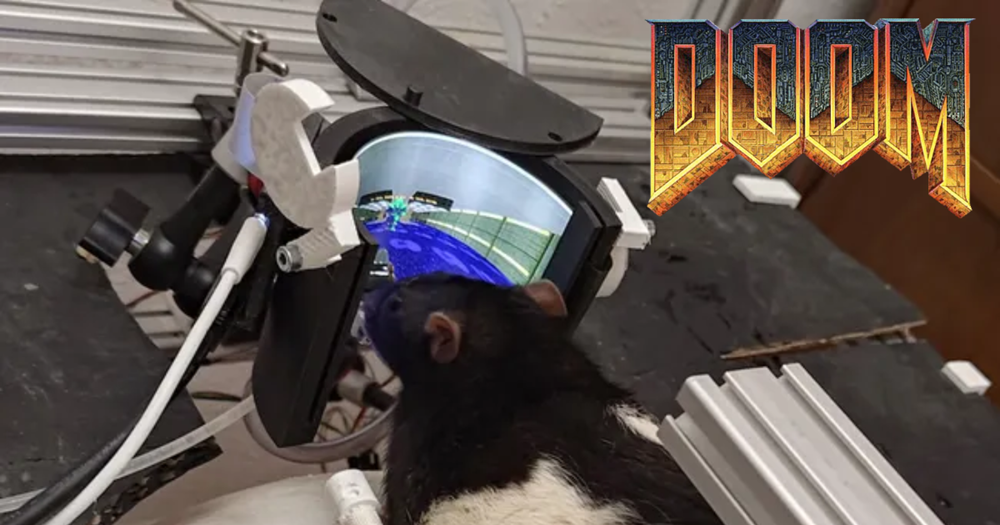 Rats Are Playing Doom Now and Honestly It Checks Out - Geek Universe ...