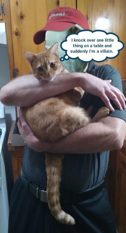 Unfair! - Lolcats - lol | cat memes | funny cats | funny cat pictures ...