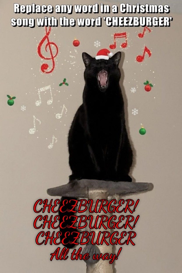 'Tis the Season to be Cheezin' - Lolcats - lol | cat memes | funny cats ...