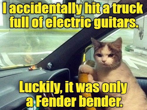 The driver was high-strung. - Lolcats - lol | cat memes | funny cats ...