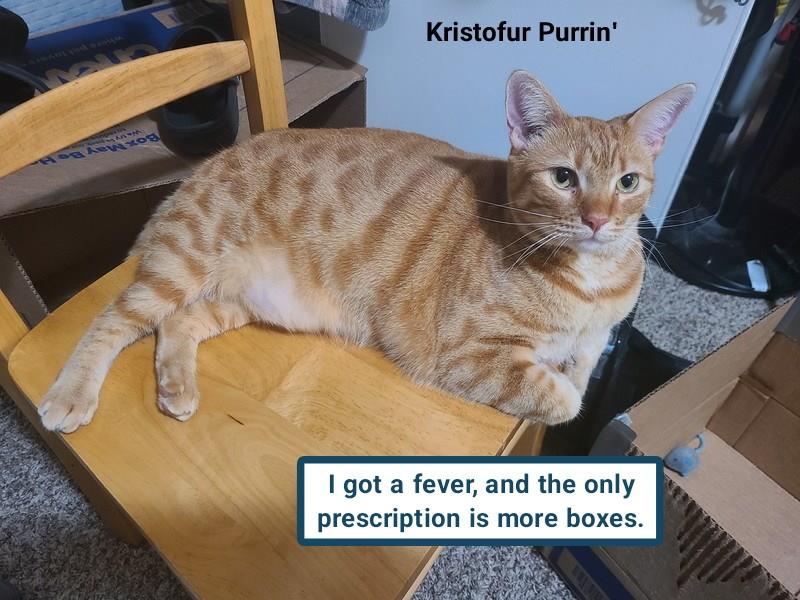 Kristofur Purrin' - Lolcats - lol | cat memes | funny cats | funny cat ...