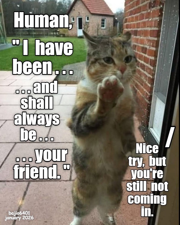 WELL THAT DIDN'T WORK - Lolcats - lol | cat memes | funny cats | funny ...