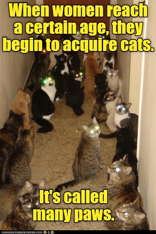 Crazy cat ladies unite. - Lolcats - lol | cat memes | funny cats ...