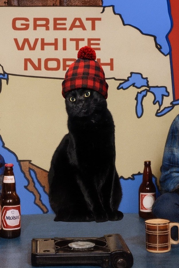 Good day, I'm Lou McKenzie - Lolcats - lol | cat memes | funny cats ...