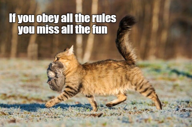 A simple rule of life - Lolcats - lol | cat memes | funny cats | funny ...
