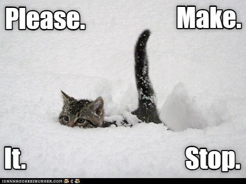 Weather currently in the Northern USA. - Lolcats - lol | cat memes ...