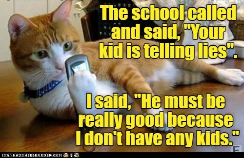 It was the principal of the thing. - Lolcats - lol | cat memes | funny ...