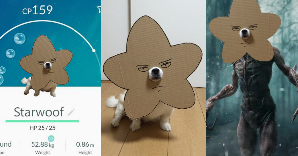 The Only Thing That Could Improve This Dog With a Sad Cardboard Cutout ...