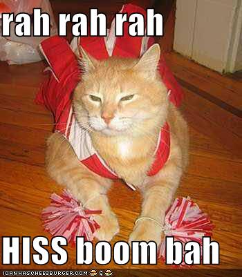 rah rah rah HISS boom bah - Cheezburger - Funny Memes | Funny Pictures
