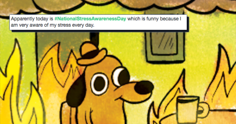 It's National Stress Awareness Day So Enjoy These Stressful Memes While ...