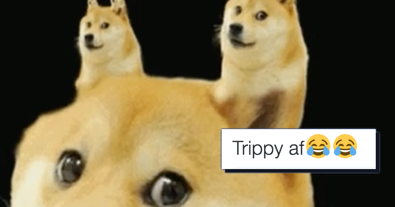 These Optical Illusion Gifs Will Blow Your Mind - Memebase - Funny Memes