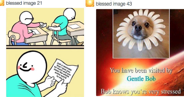 43 Feel Good Memes and Pictures That We Are Very Thankful For This Year ...