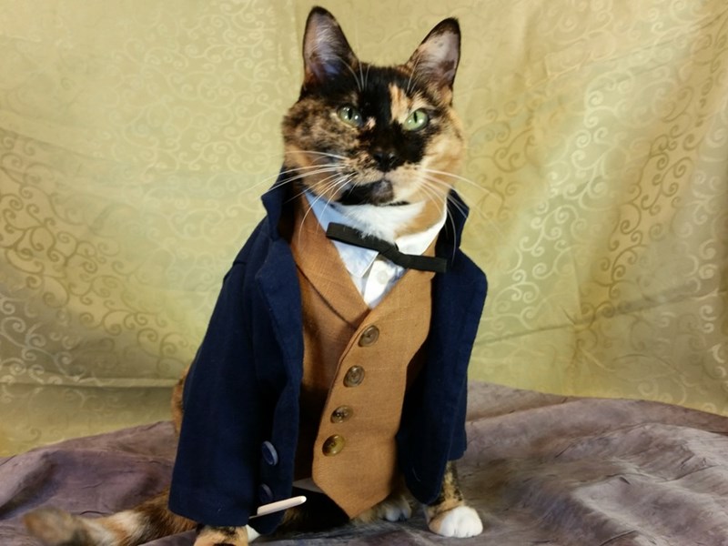 These Cat Cosplays are Hilariously Exceptional - Geek Universe - Geek ...