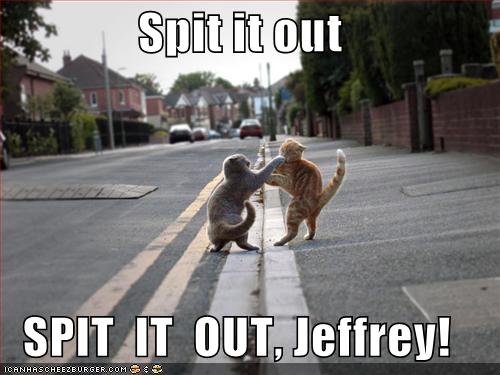 Spit it out SPIT IT OUT, Jeffrey! - Cheezburger - Funny Memes | Funny ...