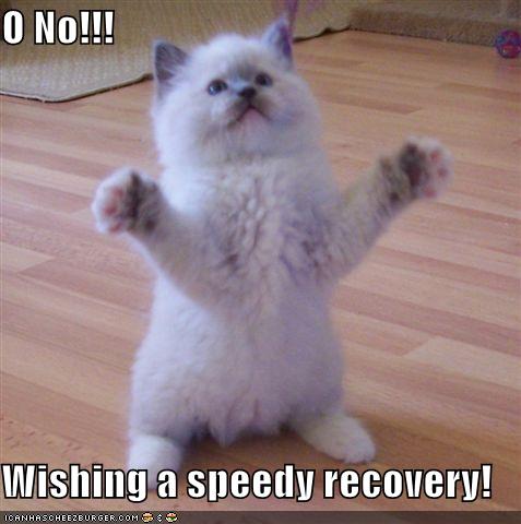 O No!!! Wishing a speedy recovery! - Cheezburger - Funny Memes | Funny ...