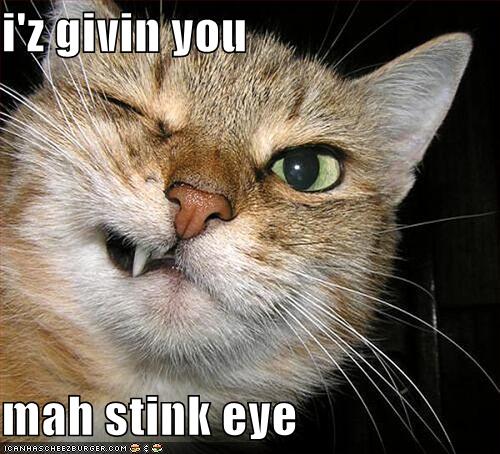 i'z givin you mah stink eye - Cheezburger - Funny Memes | Funny Pictures