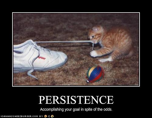 PERSISTENCE - Cheezburger - Funny Memes | Funny Pictures