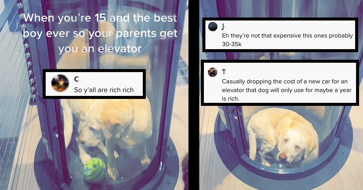 FAIL Blog - dog-elevator - Epic FAILs funny videos - Funny Fails ...