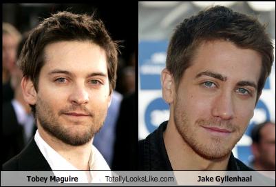 Tobey Maguire Totally Looks Like Jake Gyllenhaal - Cheezburger - Funny ...