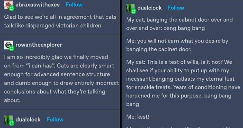 Tumblr Thread: Cats Are Just Eloquent Enough To Be Melodramatic - FAIL ...