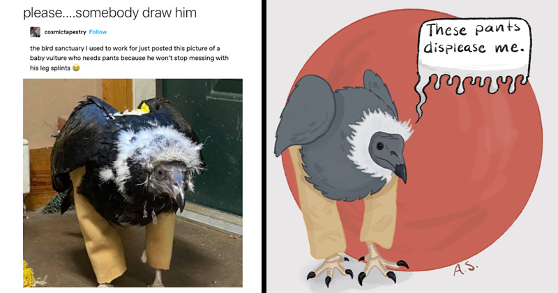Artists Of Twitter Try Their Hand At Drawing A Baby Vulture Wearing ...