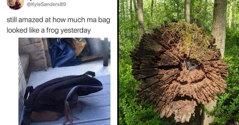 Objects That Had A Habit Of Looking Like Other Things - FAIL Blog ...