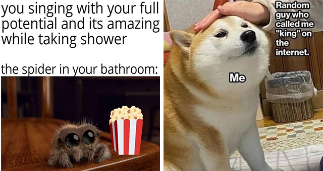 Good Vibes: 21 Wholesome Animal Memes - I Can Has Cheezburger?