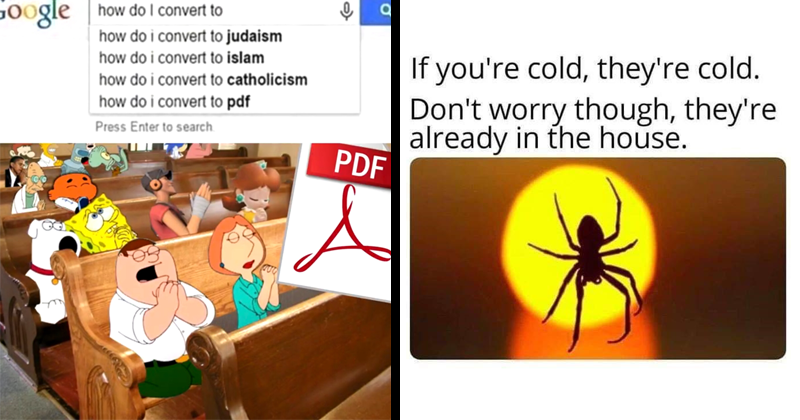 Medium Quality Memes for Medium Quality People - Memebase - Funny Memes