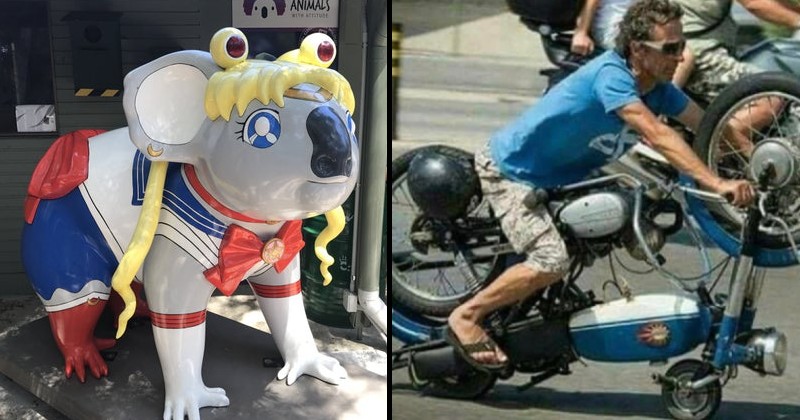 Impressive Creations of Absurd Taste - FAIL Blog - Funny Fails