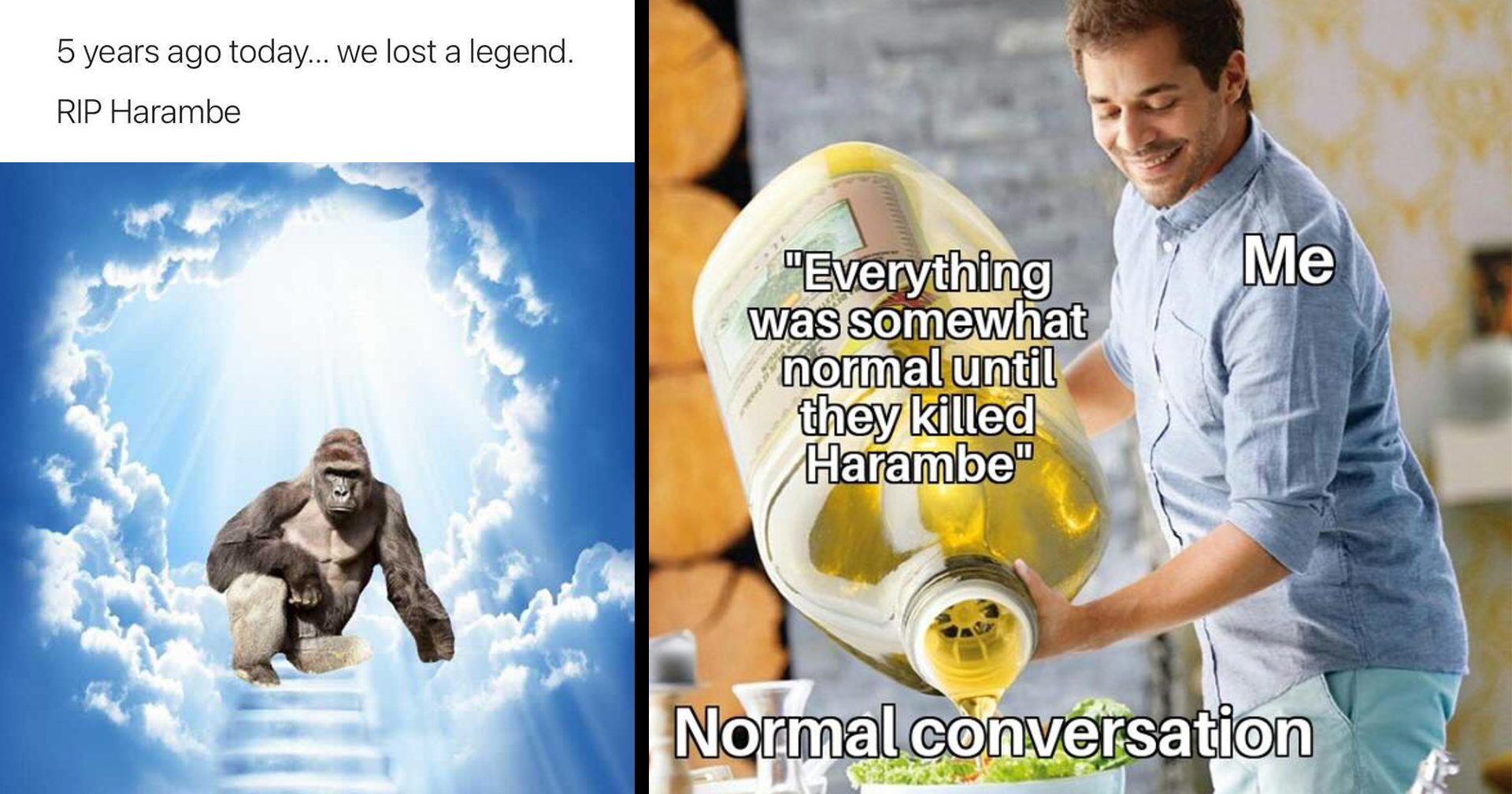 20+ Tributes & Classic Memes Dedicated to the Late, Great Harambe ...