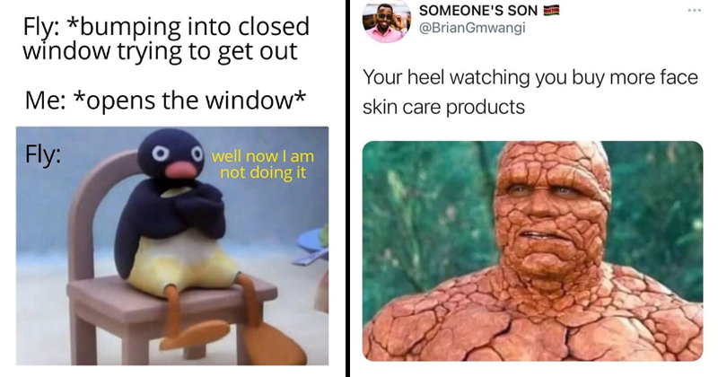 40+ Memes Both Random & Relatable - Memebase - Funny Memes