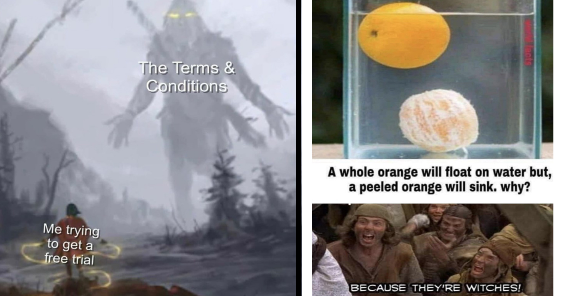 A Riveting Ruckus of Memes Full Of Randomness - Memebase - Funny Memes