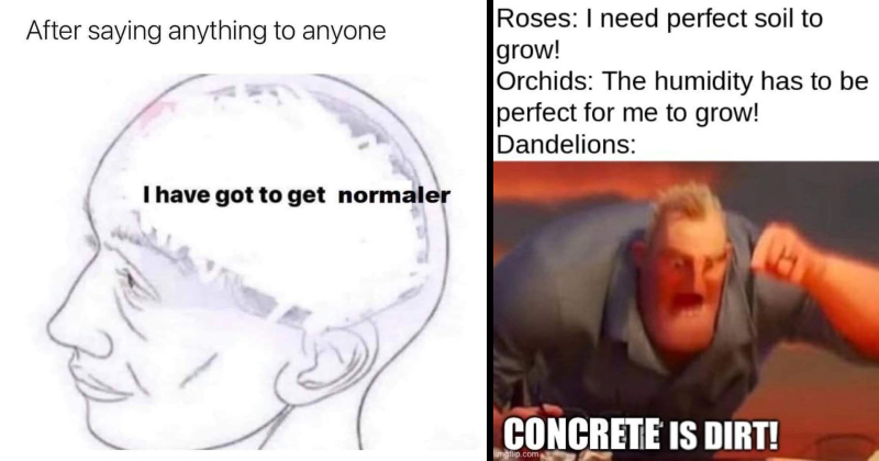 A Delectable Platter of 40+ Random Memes - Memebase - Funny Memes