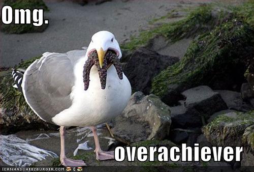 Omg. overachiever - Cheezburger - Funny Memes | Funny Pictures