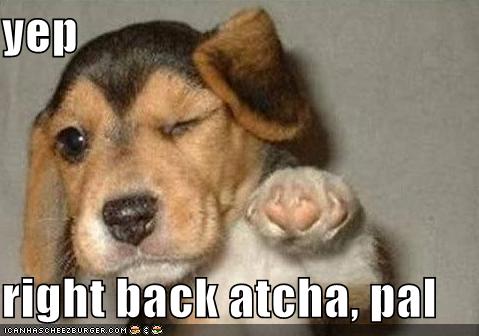 yep right back atcha, pal - Cheezburger - Funny Memes | Funny Pictures