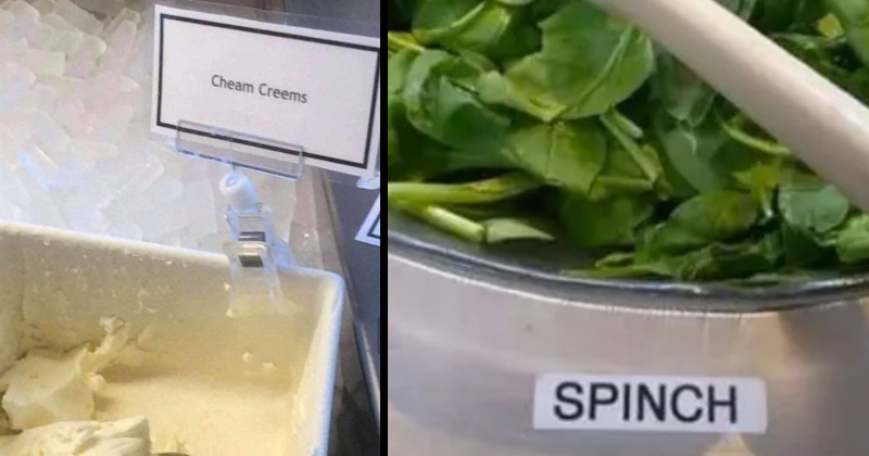 Amusing Moments Of Spelling Ineptitude That Prove More People Need To ...