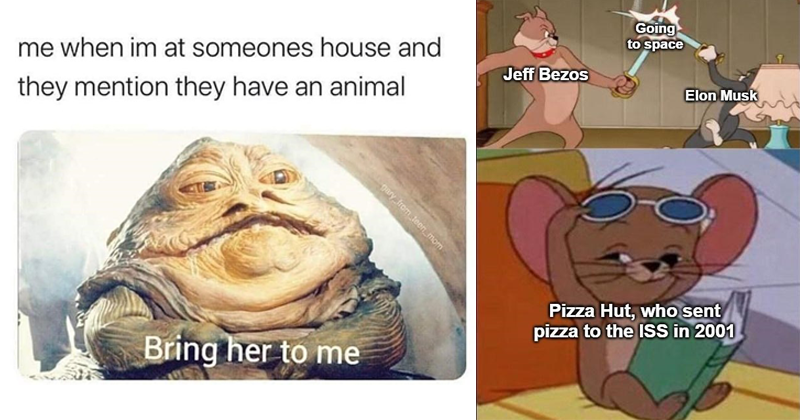 A Cornucopia of Memes Filled With Rejuvenating Humor - Memebase - Funny ...