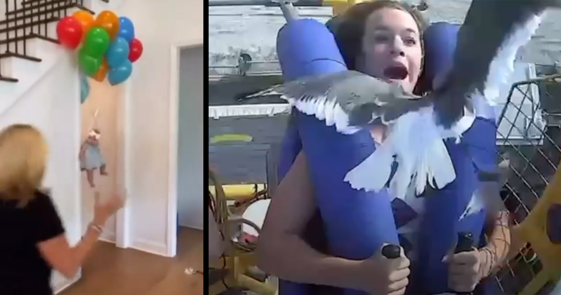 Funny Unexpected Moments That Deserve Appreciation - Memebase - Funny Memes Funny Unexpected Moments That Deserve Appreciation - Memebase - Funny Memes